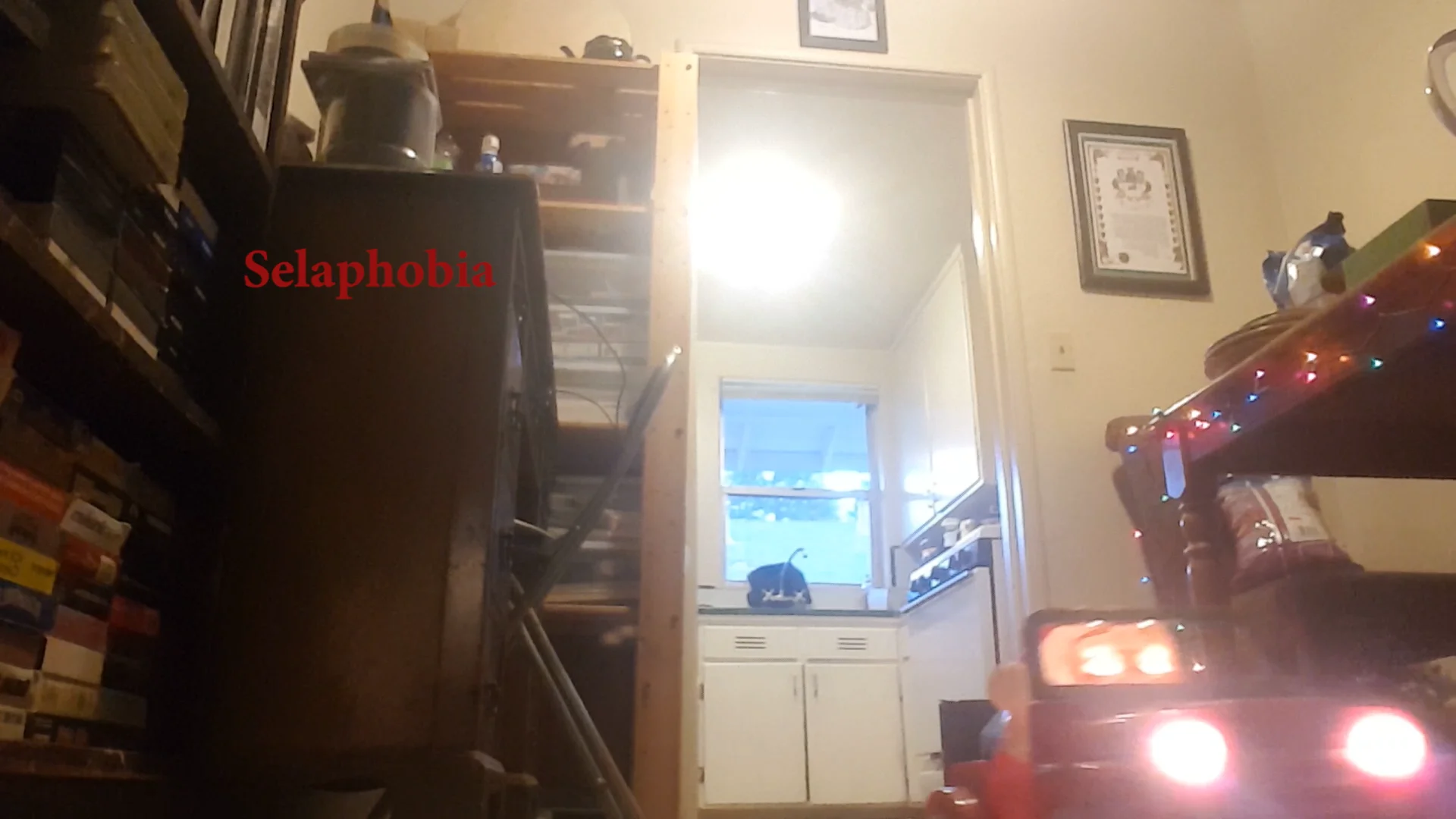 Selaphobia on Vimeo