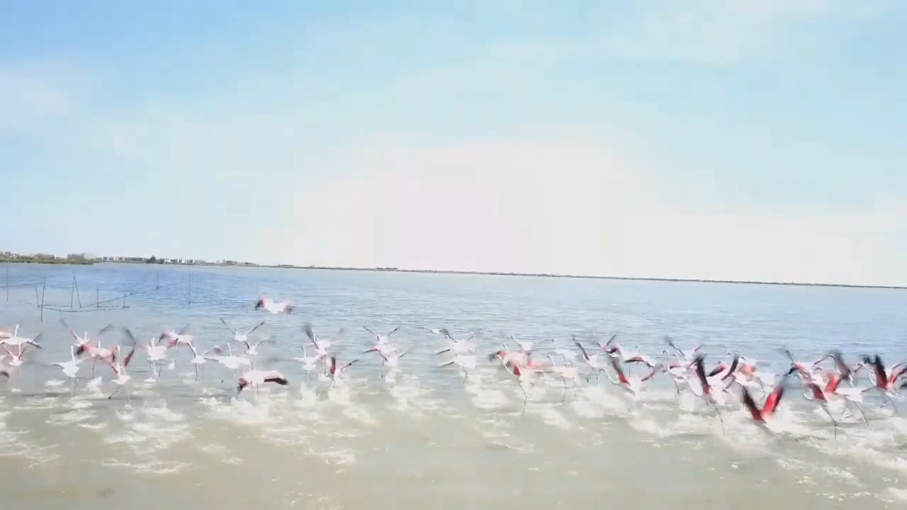 Southern France on Vimeo