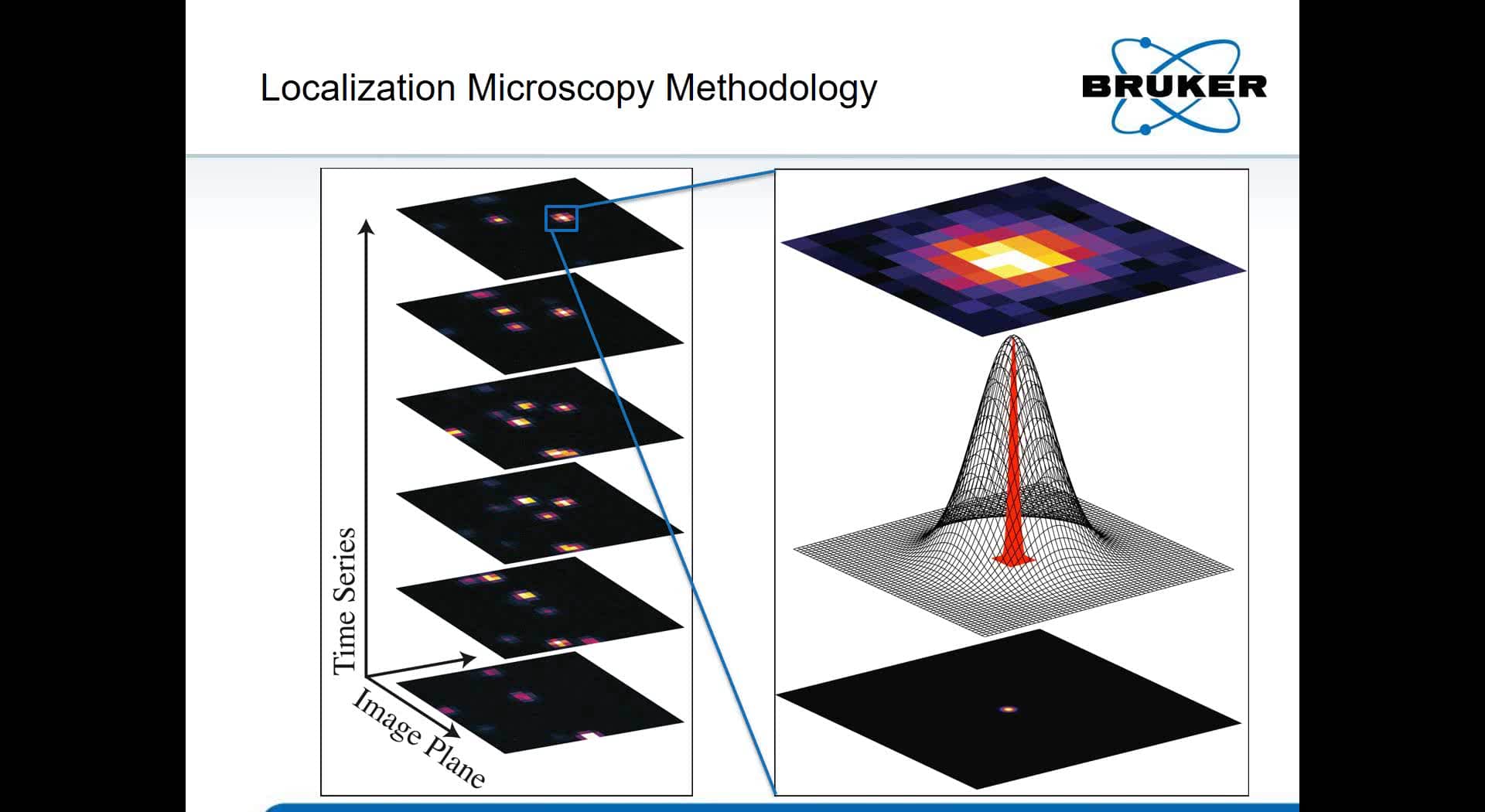 Quantitative Single Molecule Localization Microscopy On Vimeo