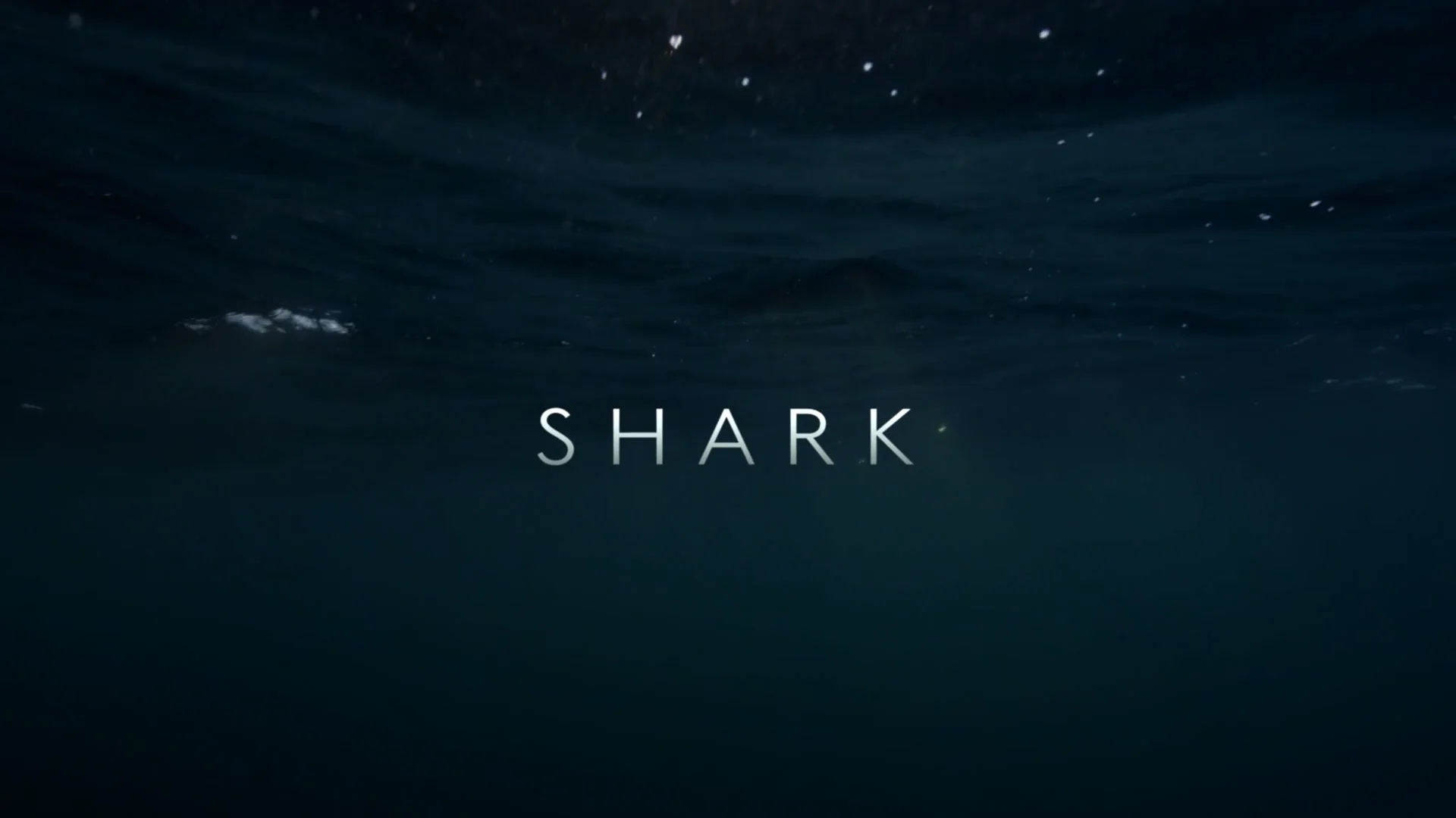 Aquatic Titles -- 2021 - BBC Shark: A 4-D Experience on Vimeo