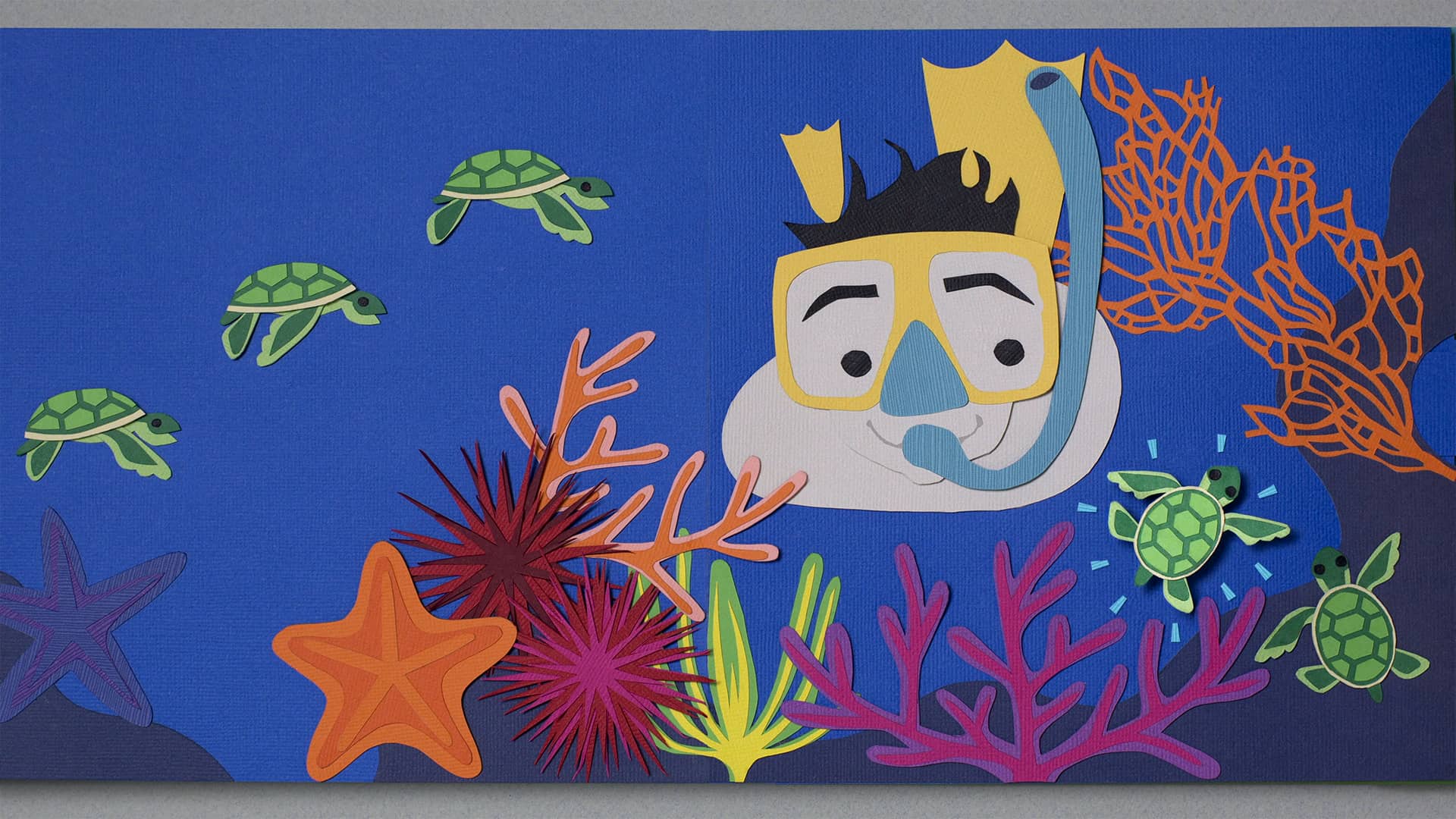 SESAME STREET - 12 Tiny Turtles on Vimeo