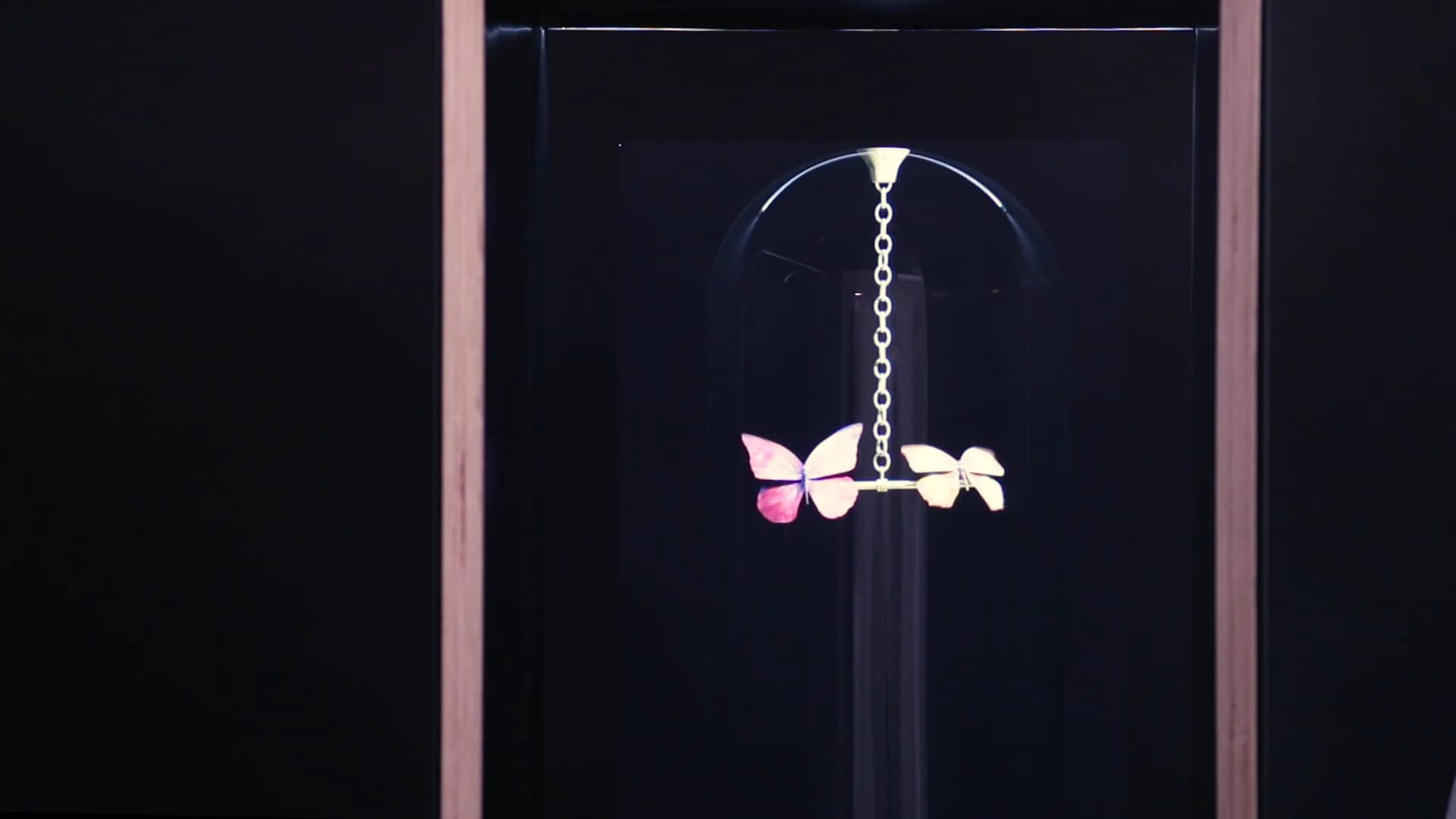 Flutter Hologram: Pendulum on Vimeo