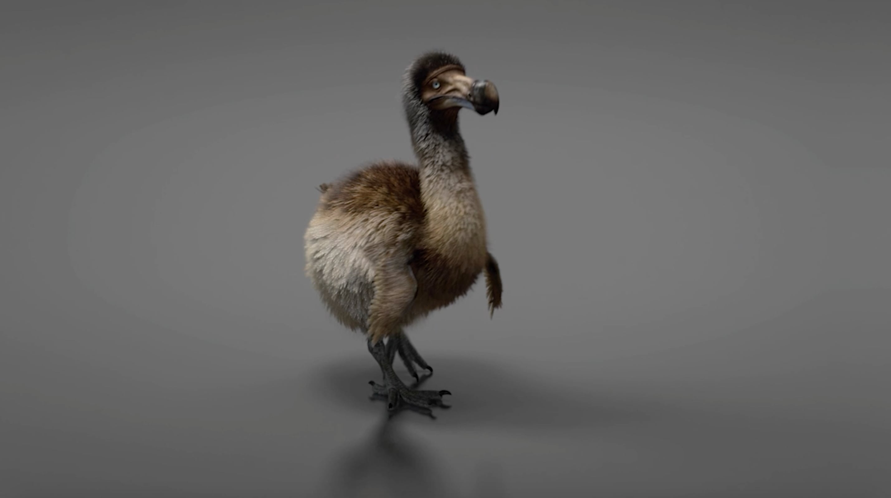 David Attenborough's Natural History Museum Alive BTS - Resurrecting ...