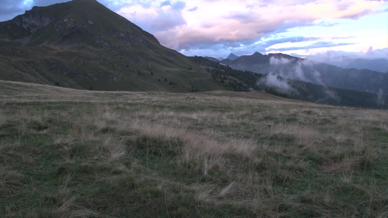 VIAGGIO A MONTEVIDEO#4 on Vimeo