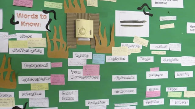 Role-play – building science knowledge — Science Learning Hub