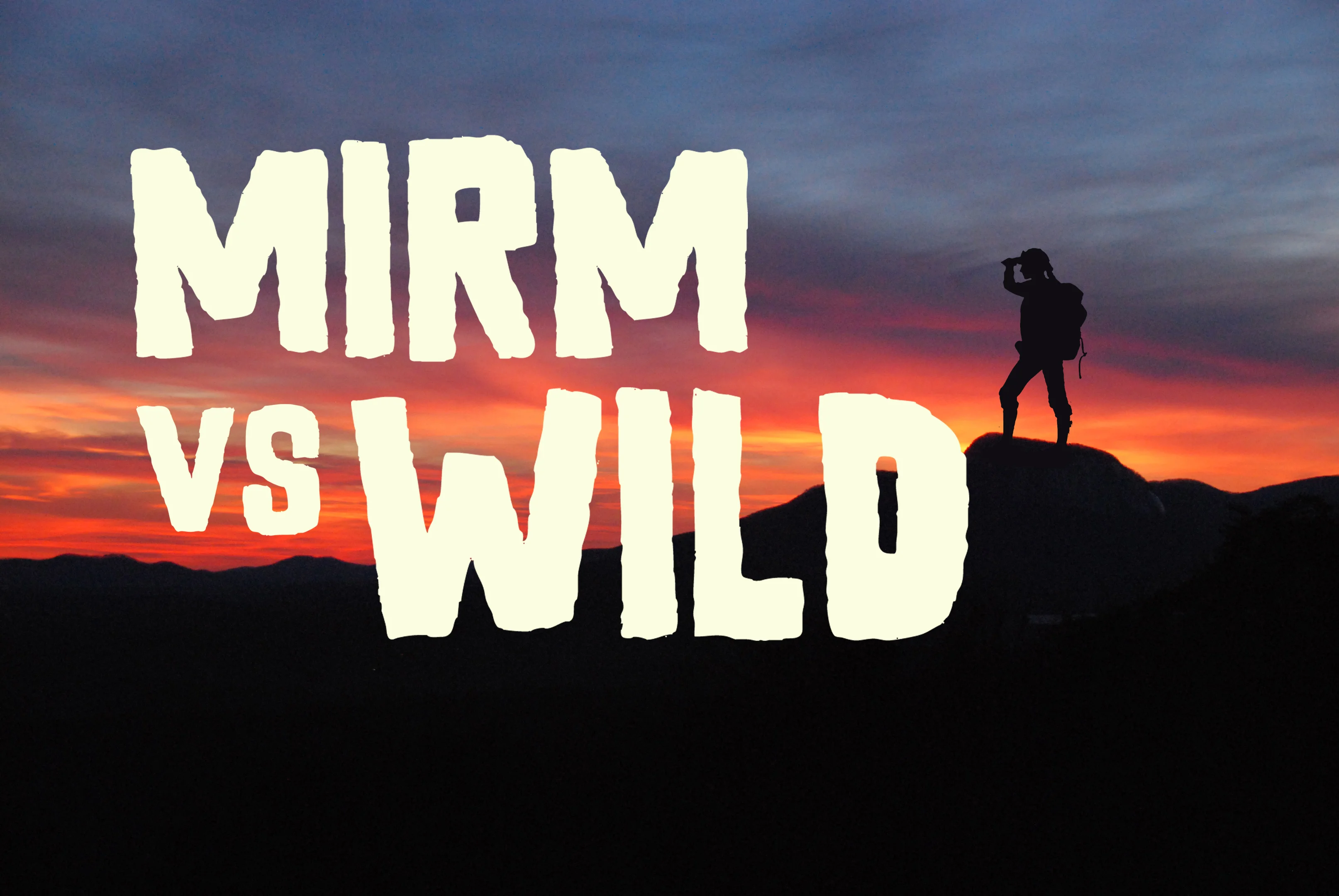 Mirm vs Wild on Vimeo