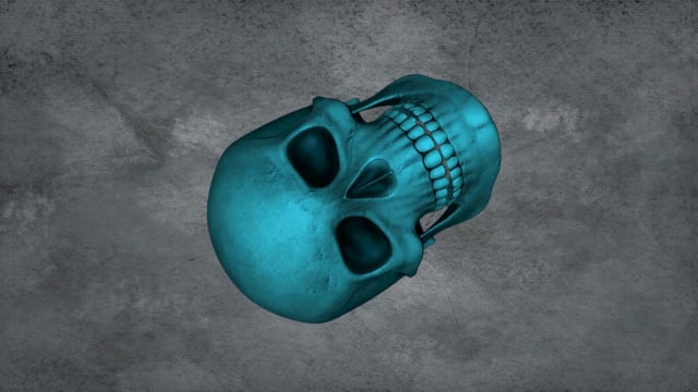 Skull Face Head - Free video on Pixabay