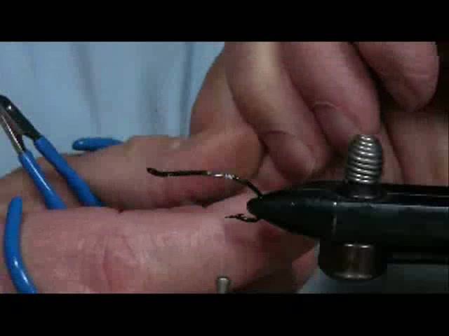 Shady Lady by Marc Madore on Vimeo