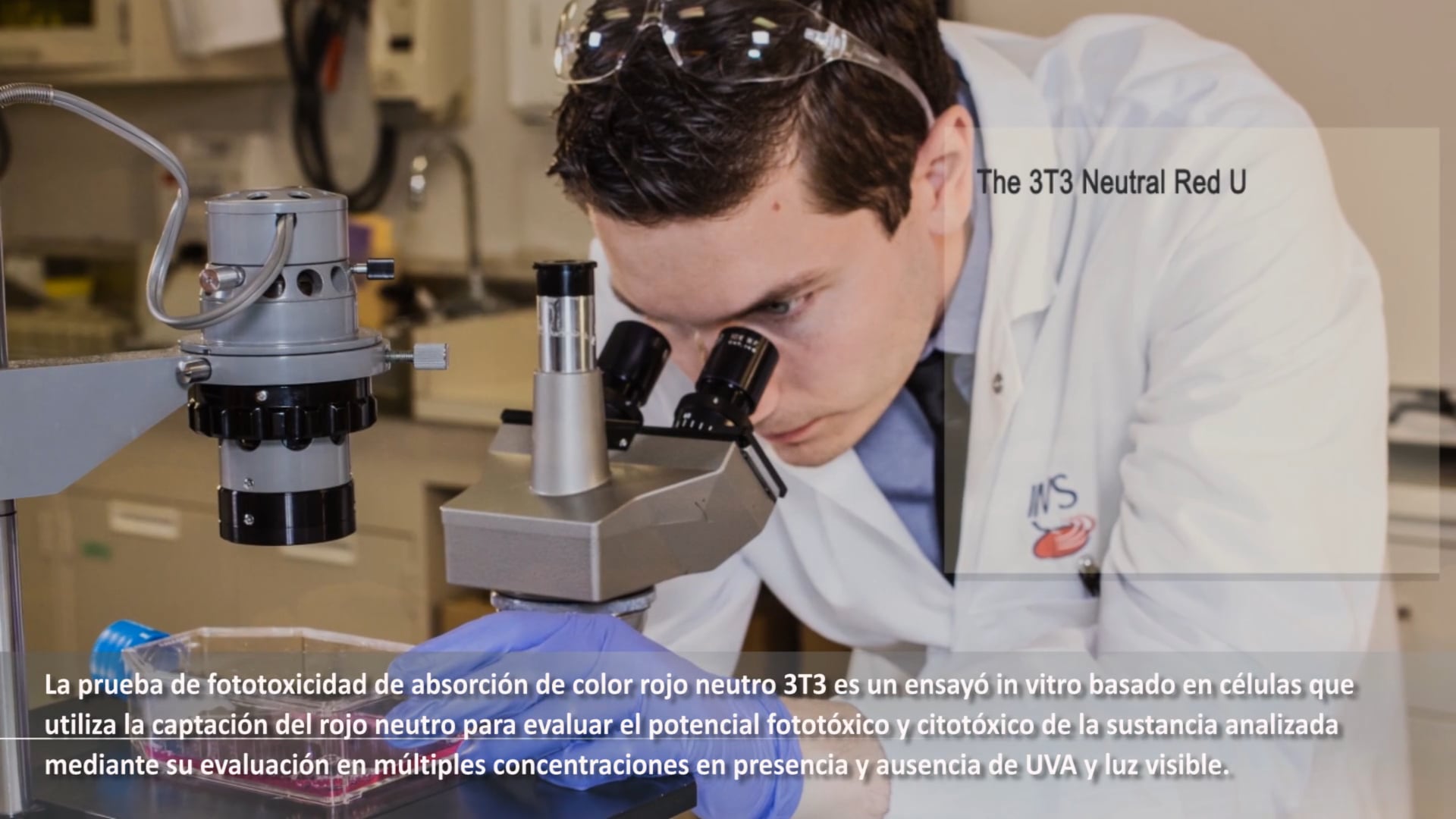 The 3T3 Neutral Red Uptake Phototoxicity Test SpanishTranslation 10/17 ...