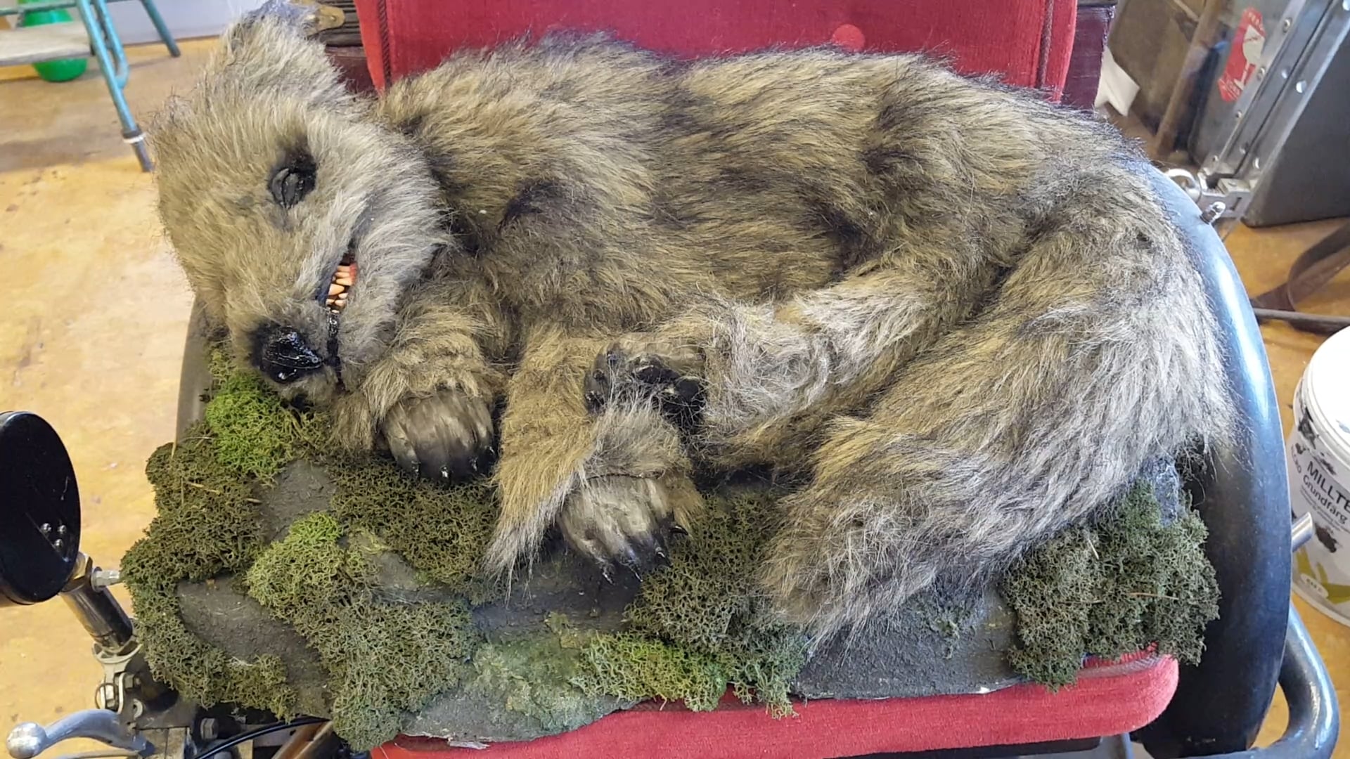 Arduinocontrolled servo animal on Vimeo