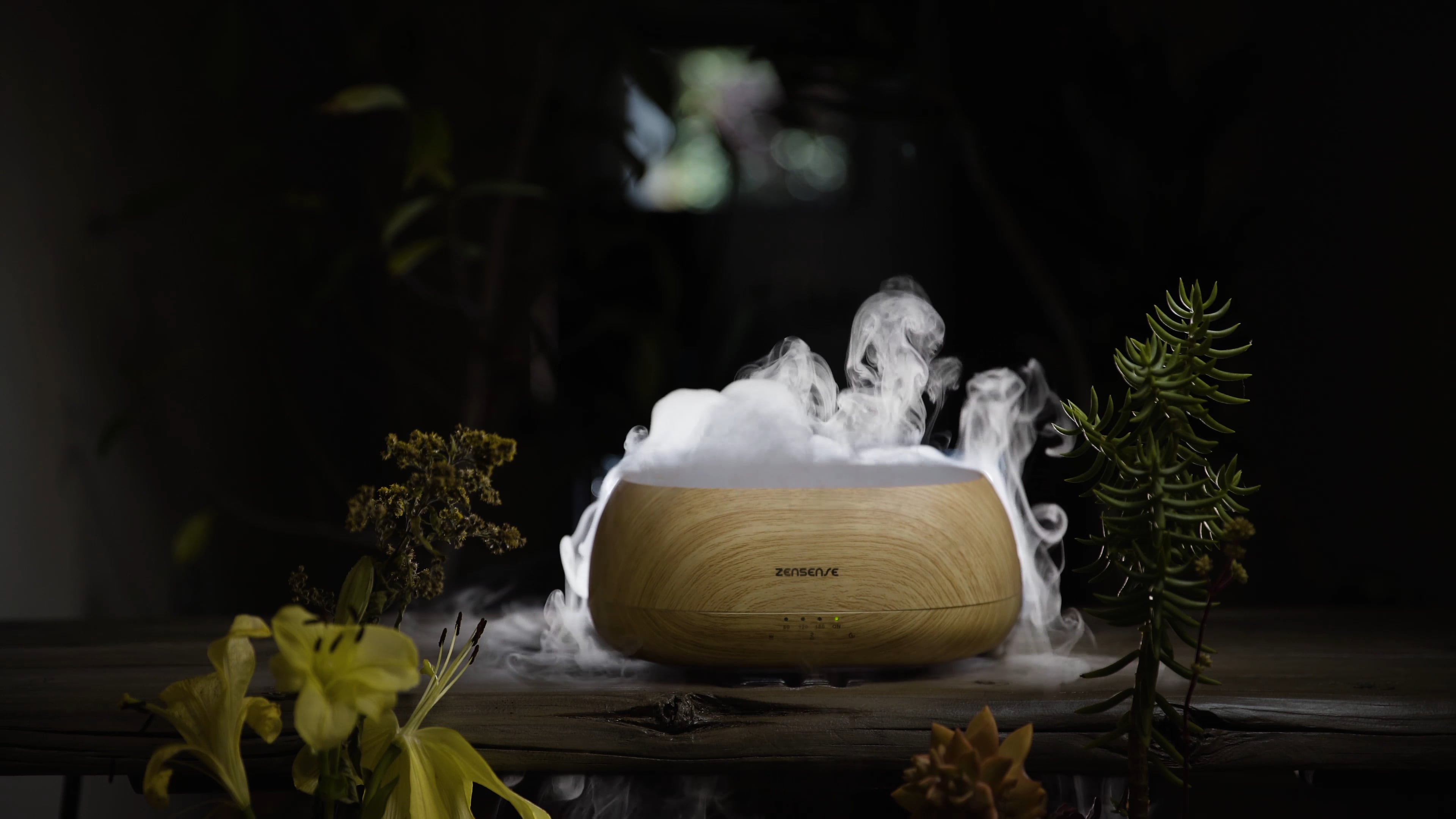 ZenSense Dream Diffuser Demo #2 on Vimeo