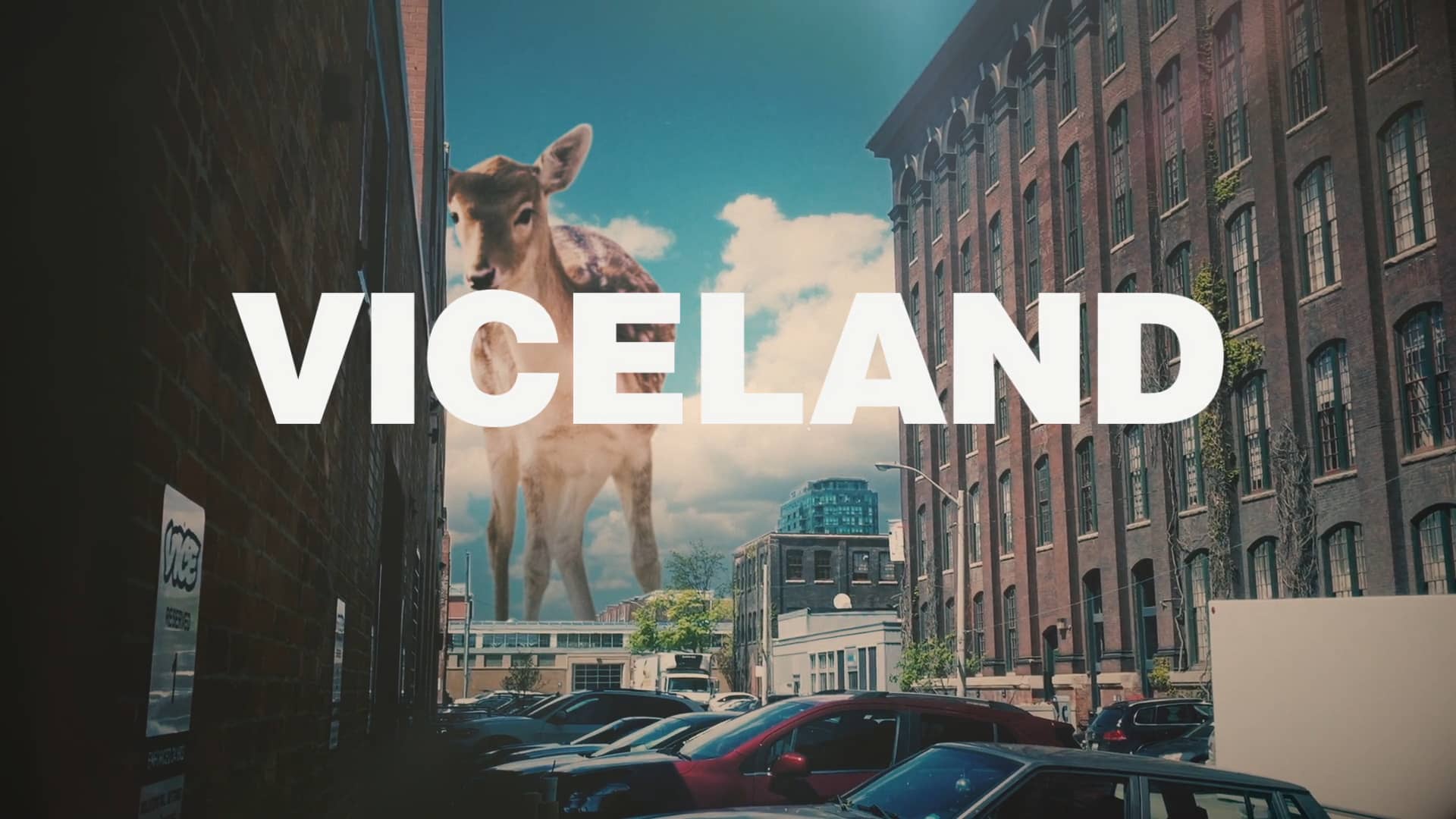 VICELAND Canada Deer Ident on Vimeo