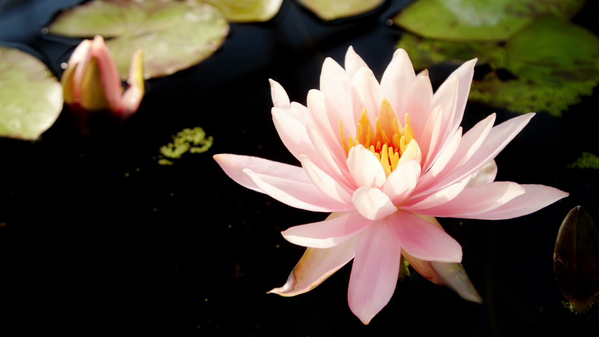 Marlo Spa Welcome on Vimeo