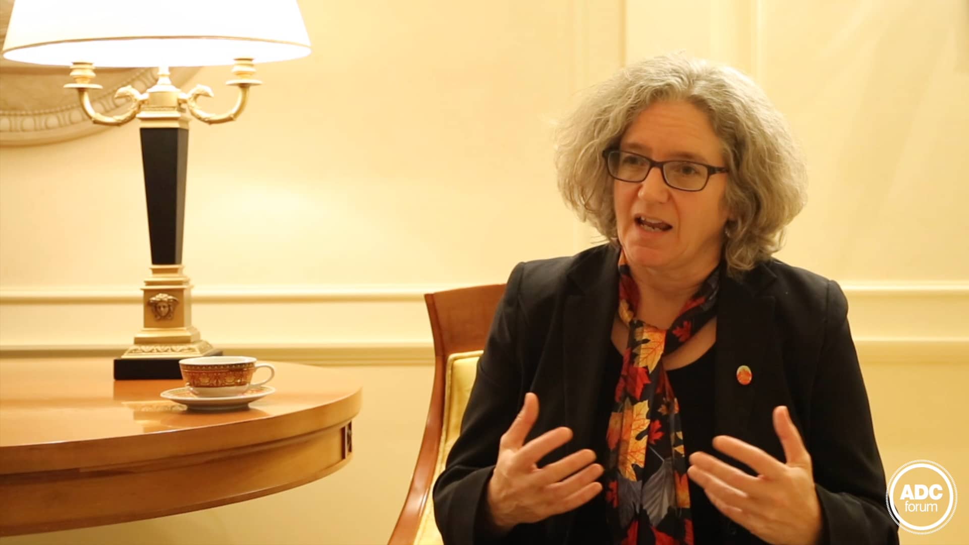 ADC Interview Sessions - Professor Ann Nicholson - data modelling and ...
