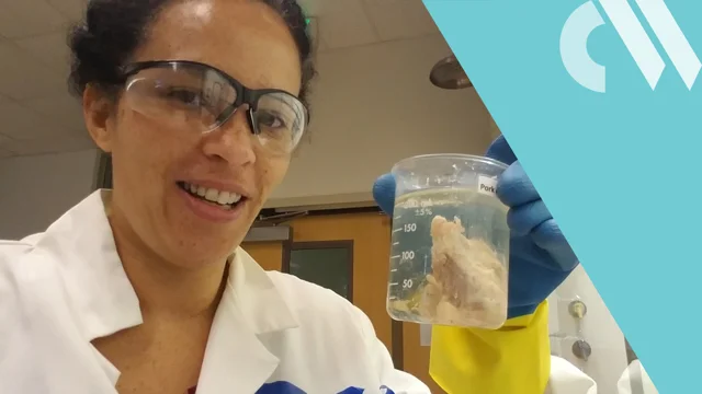 Phosphoric Acid Dissolve Bodies