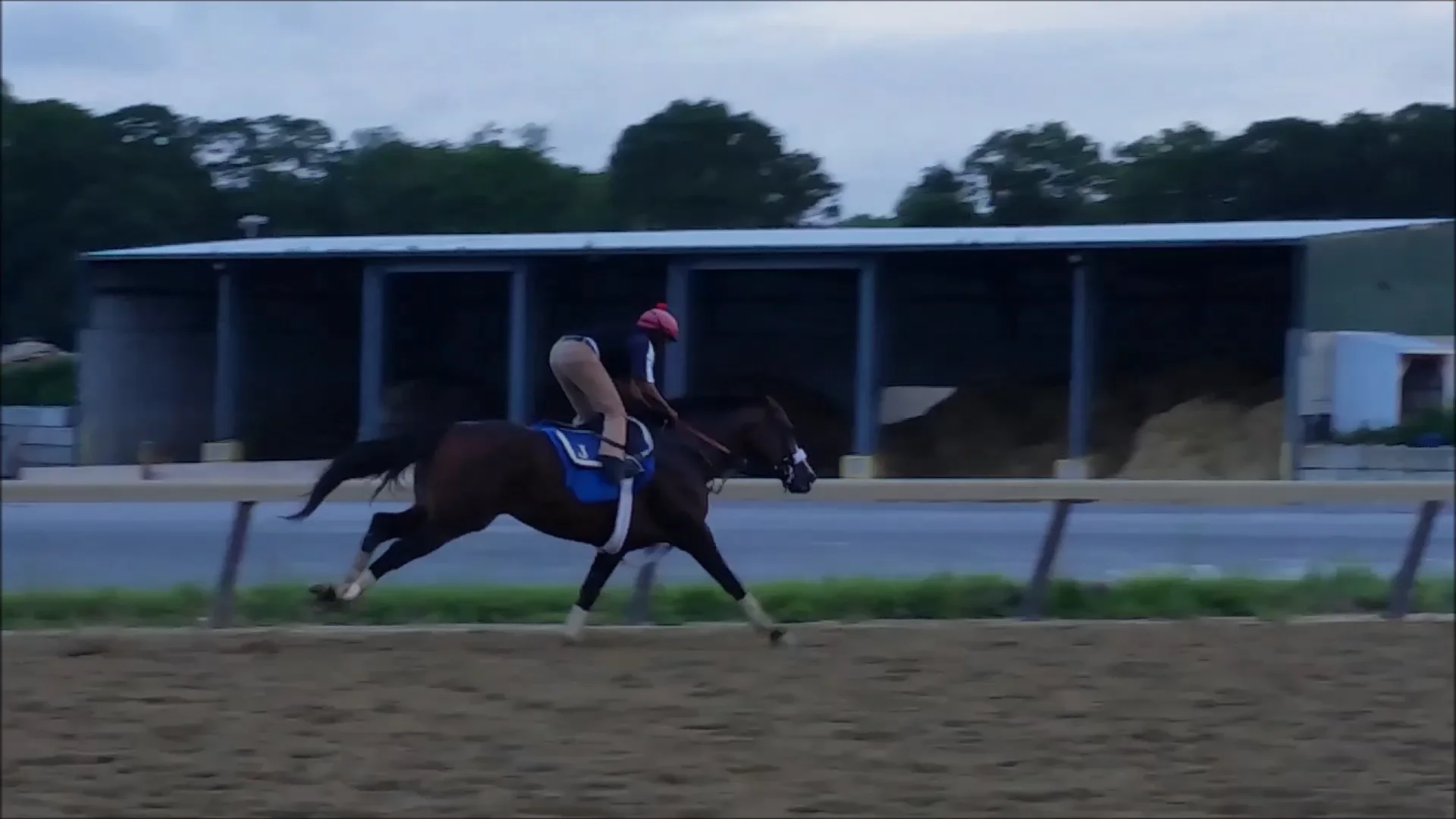 Adulator 6.16.17 on Vimeo