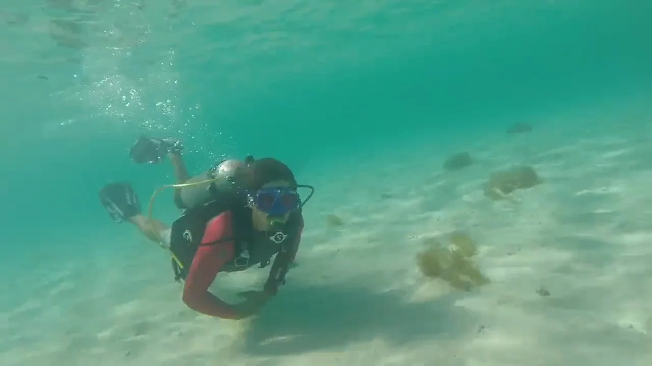 Scuba Diving on Vimeo