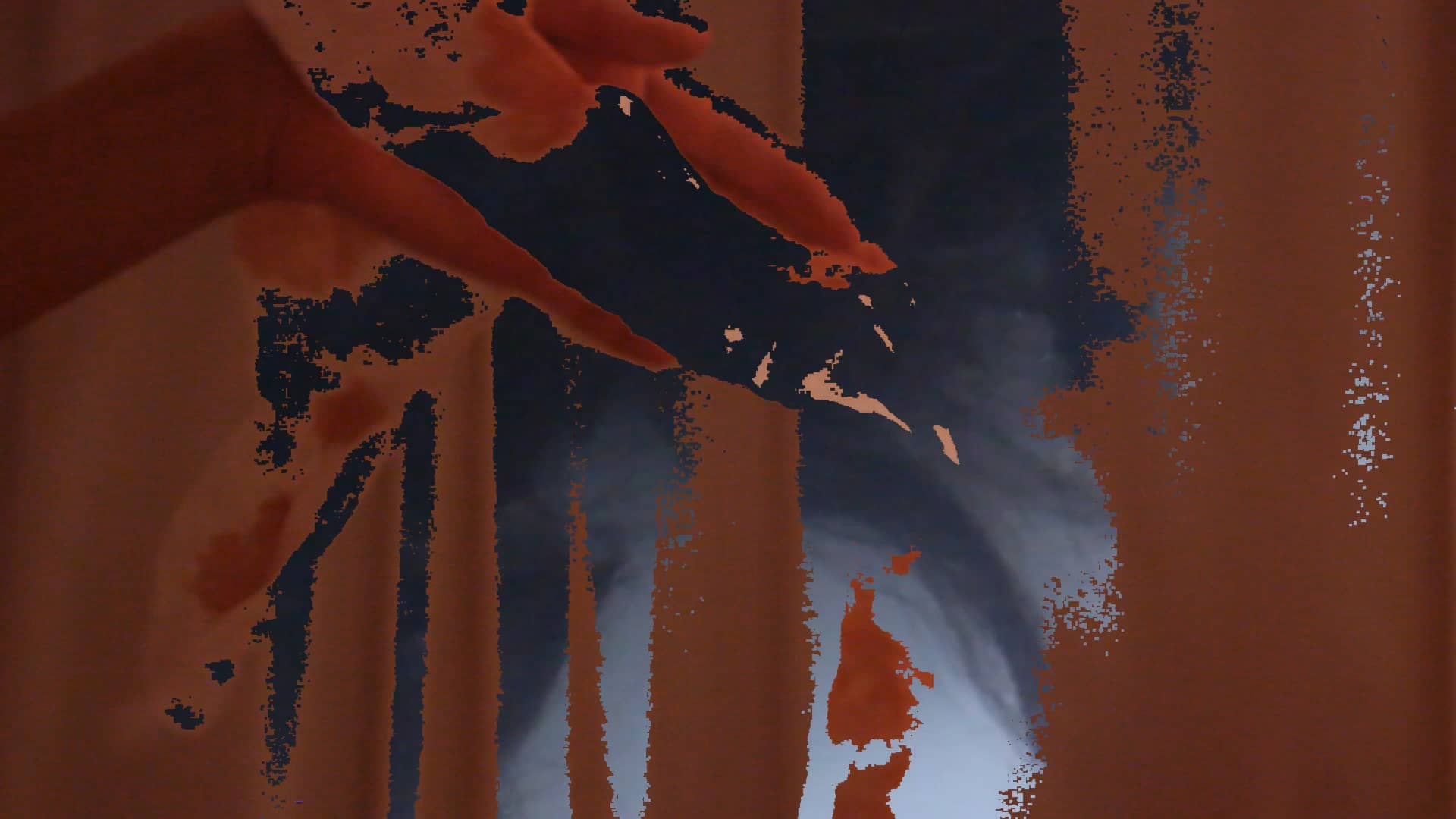 dead snake on Vimeo