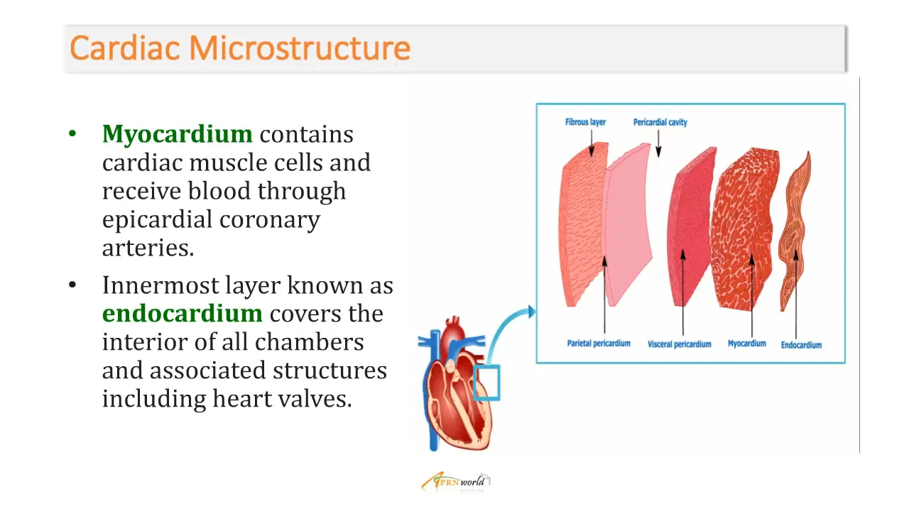 Advanced Arrhythmia Chapter 1