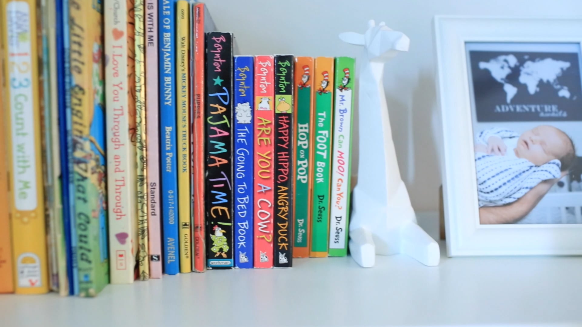 Bloom Family Designs Preview Video on Vimeo