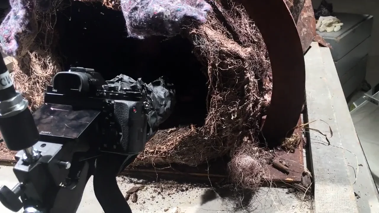 Making of "My Roots", December 2016 on Vimeo