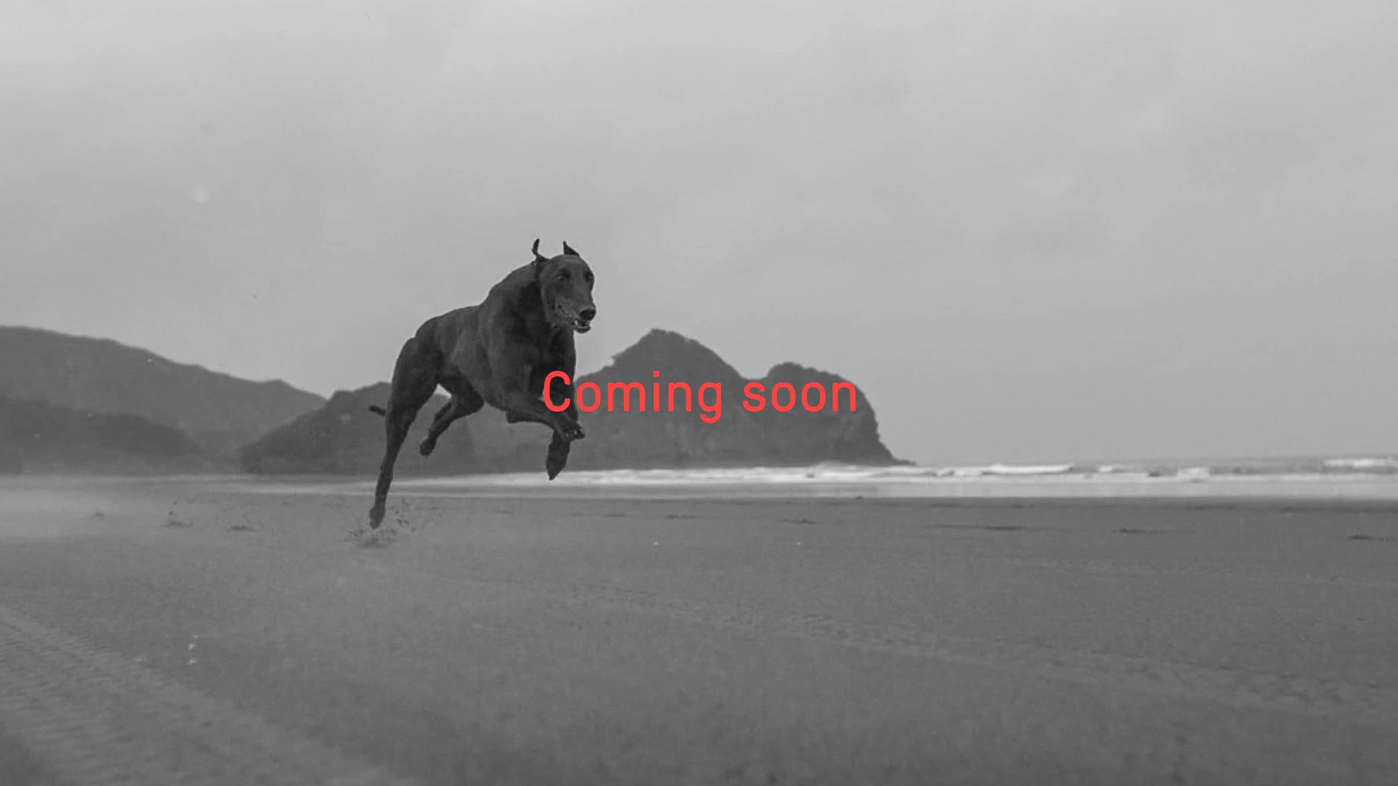 Just Say Yes - Official Movie Trailer on Vimeo