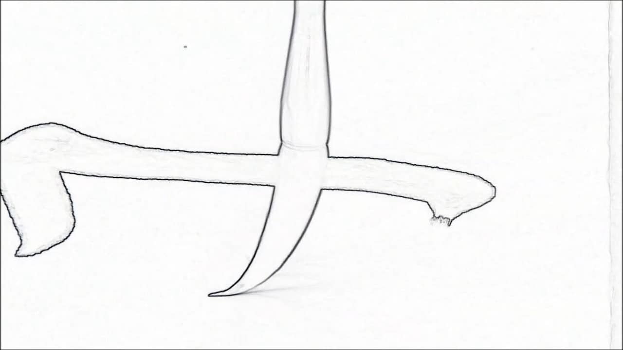 Eight Principles of Yong on Vimeo