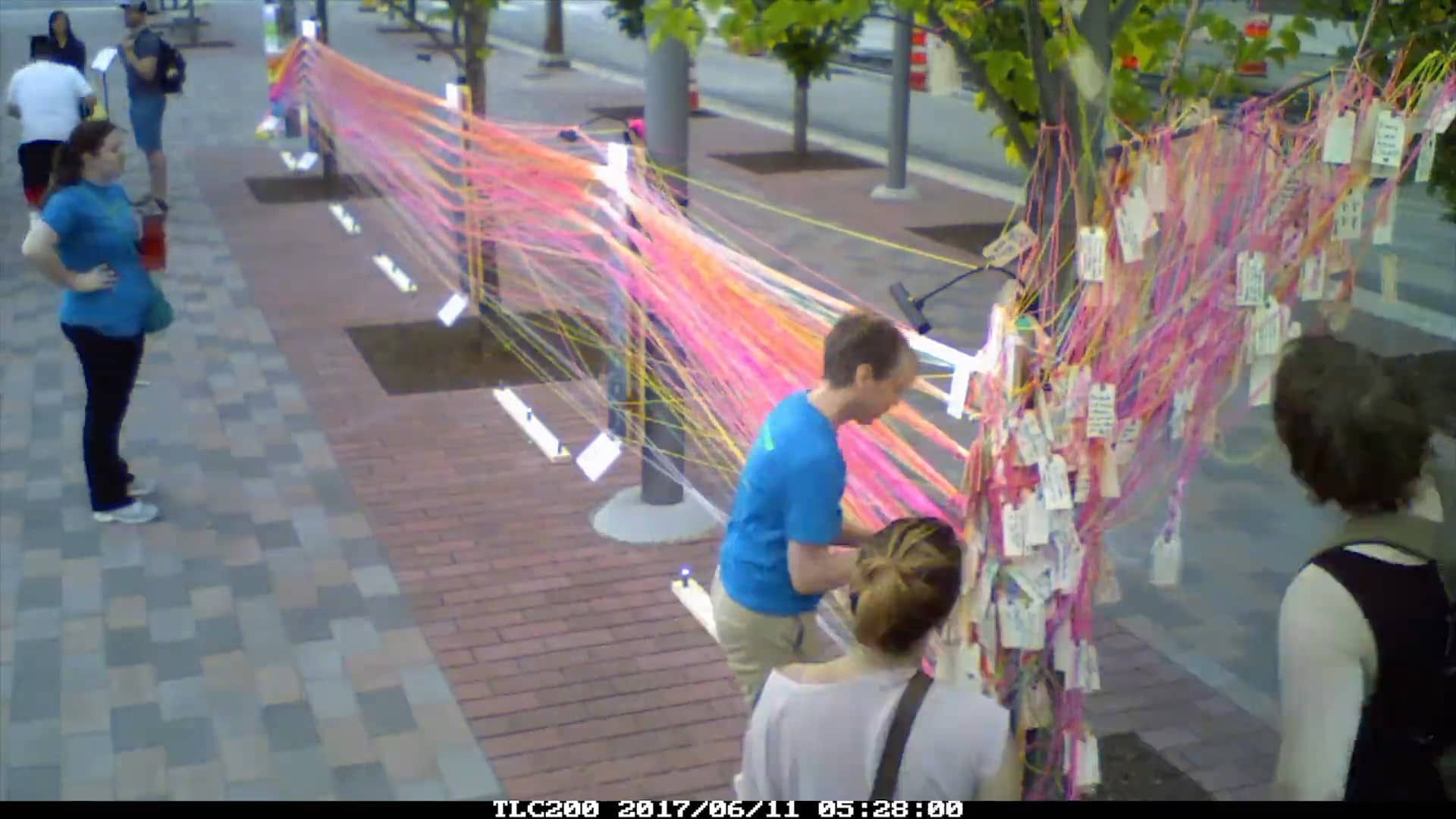 String Survey: Drawing the Line on Climate (from Northern Spark 2017 ...