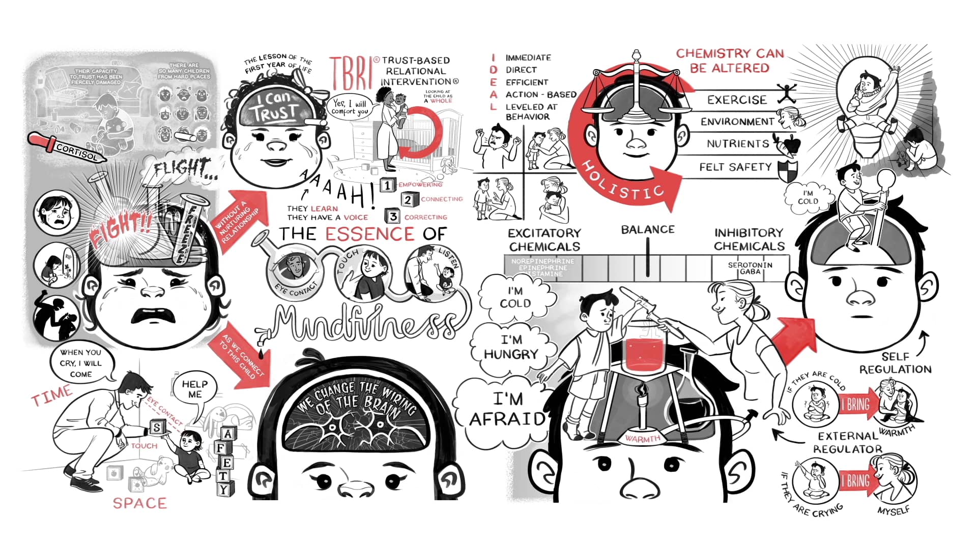 TBRI Animate on Vimeo