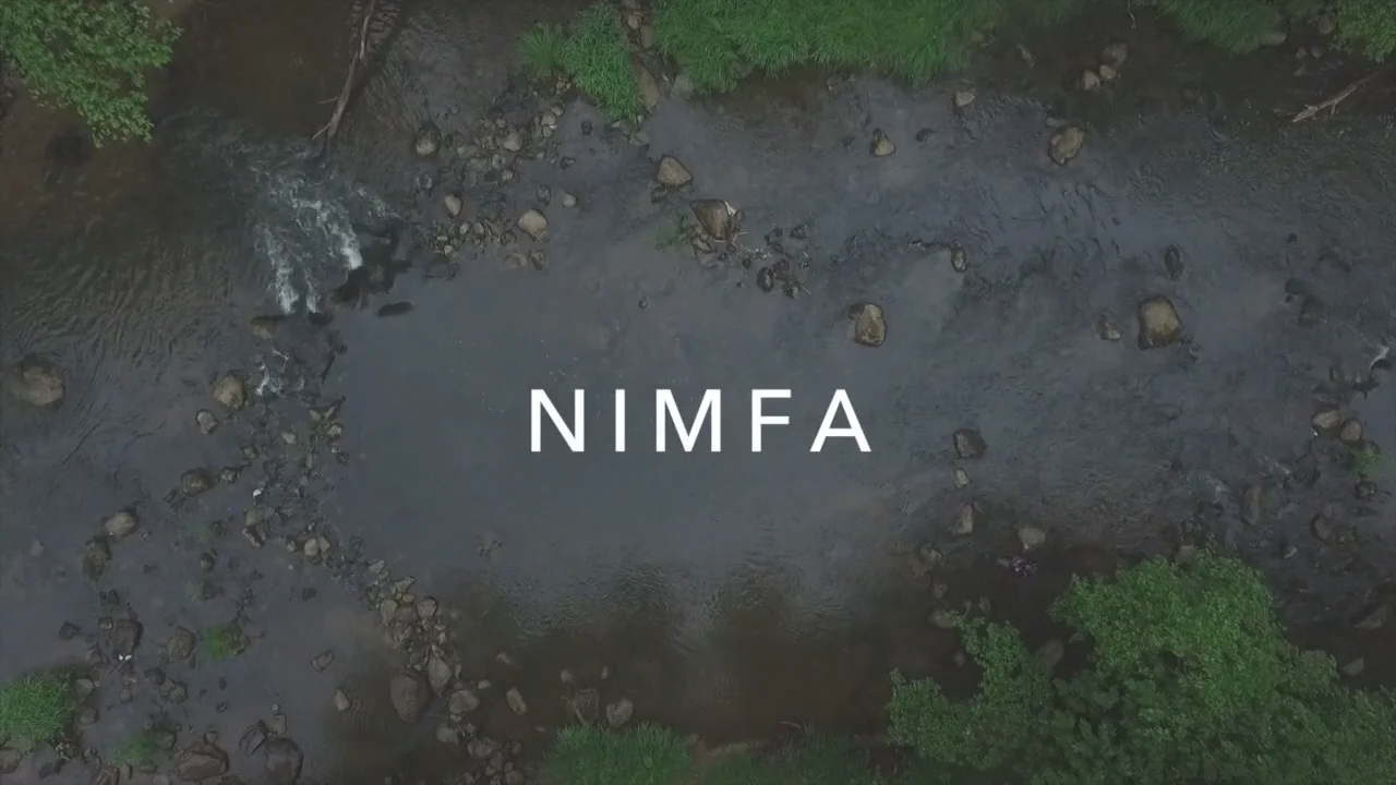 Nimfa