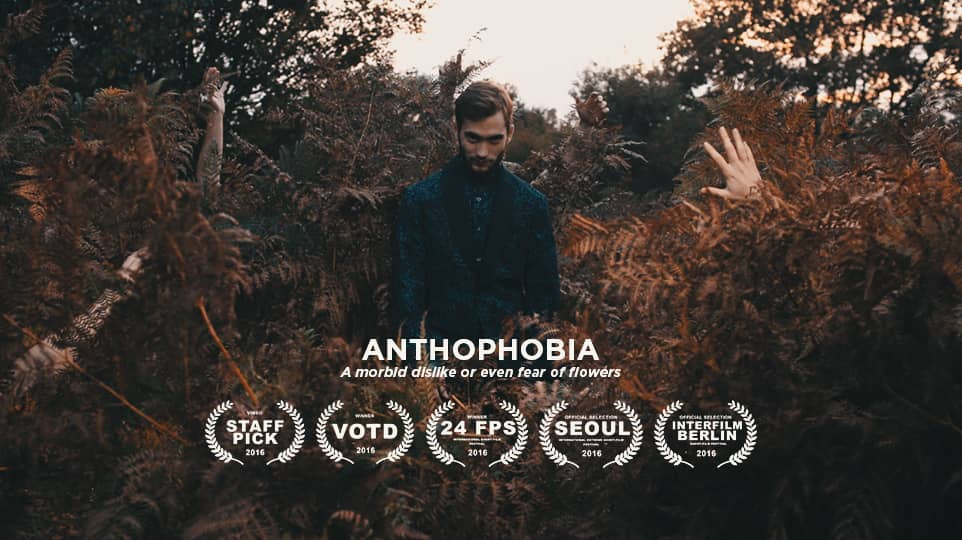 ANTHOPHOBIA | Short Film on Vimeo
