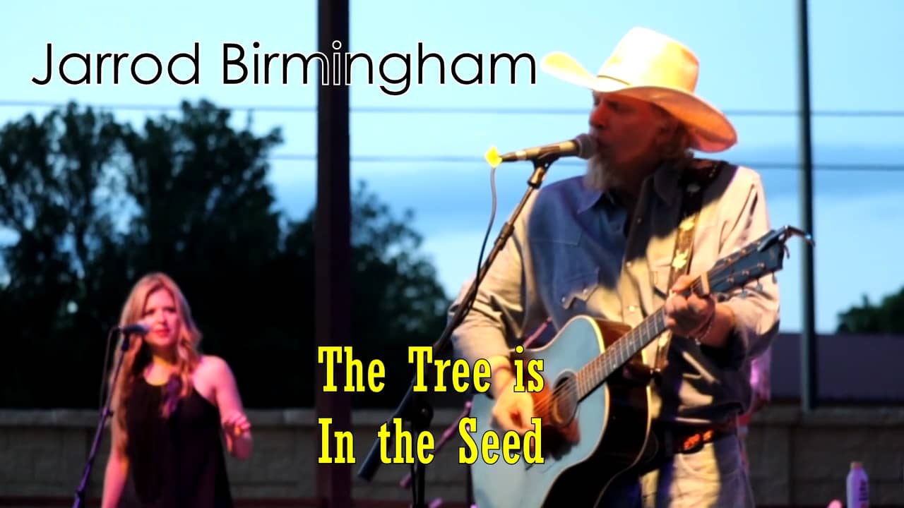 Jarrod Birmingham - The Tree Is In The Seed on Vimeo