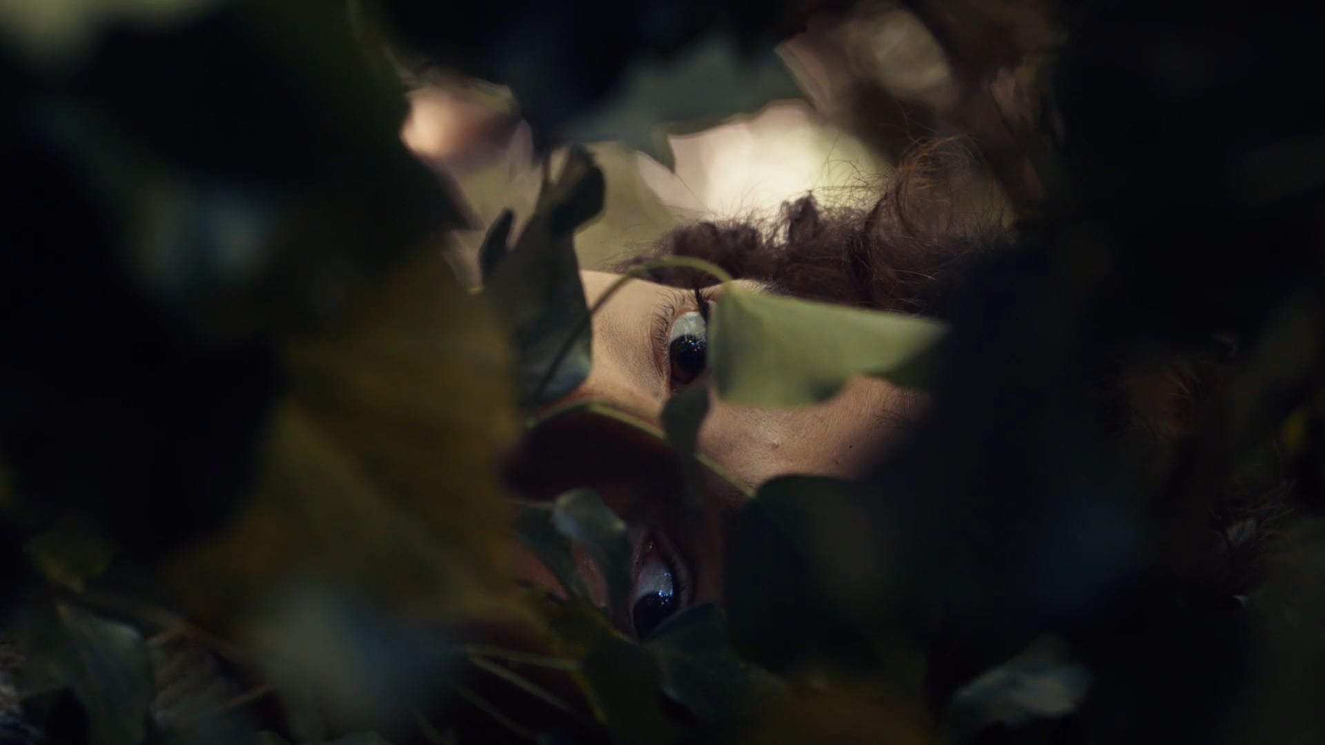 Prada Talisman Short Film on Vimeo