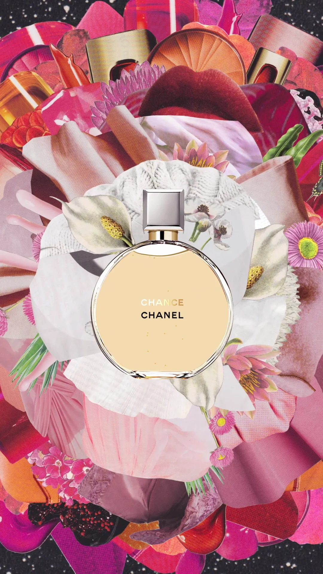 Fashion Collage Animation: Chance Chanel