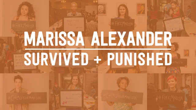 Stand Your Ground Marissa Alexander