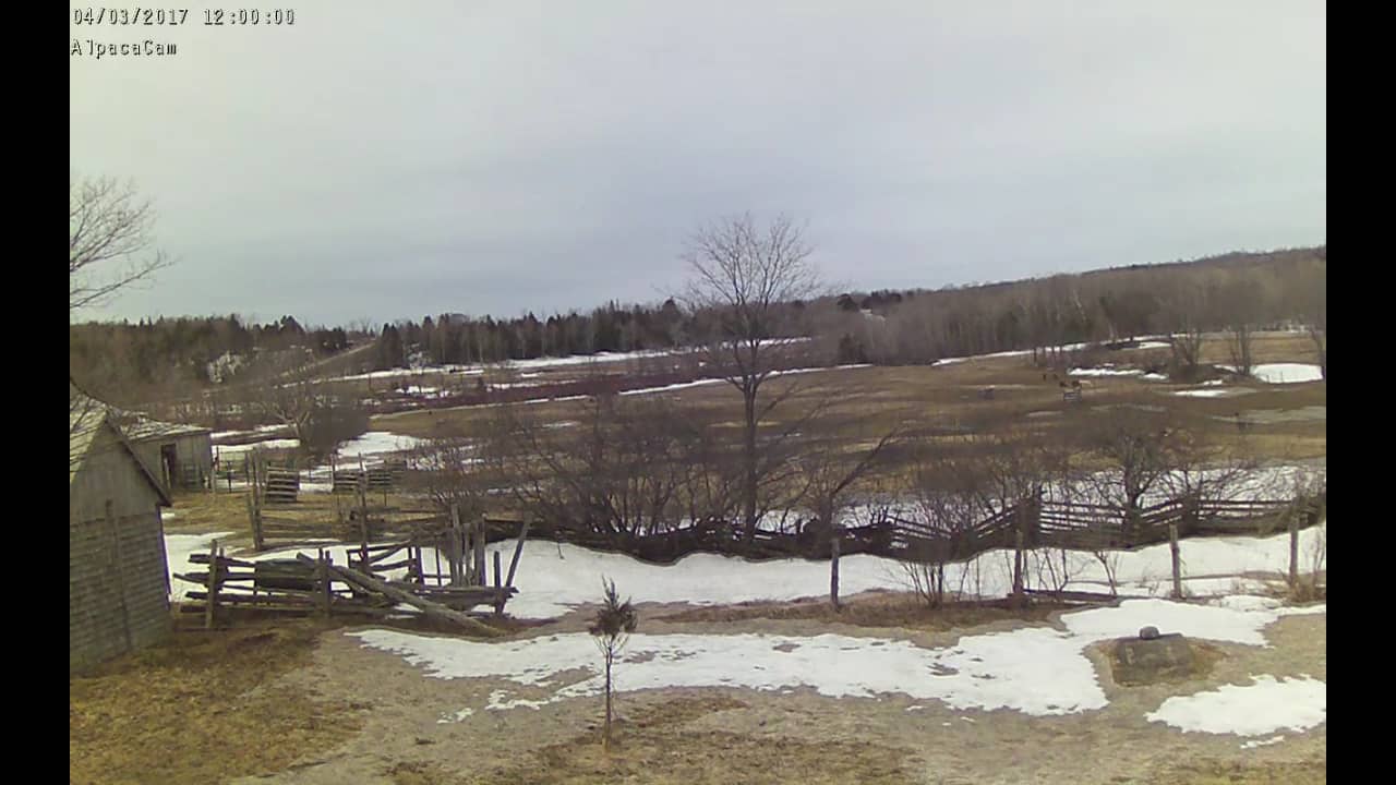 2017 Spring on Vimeo