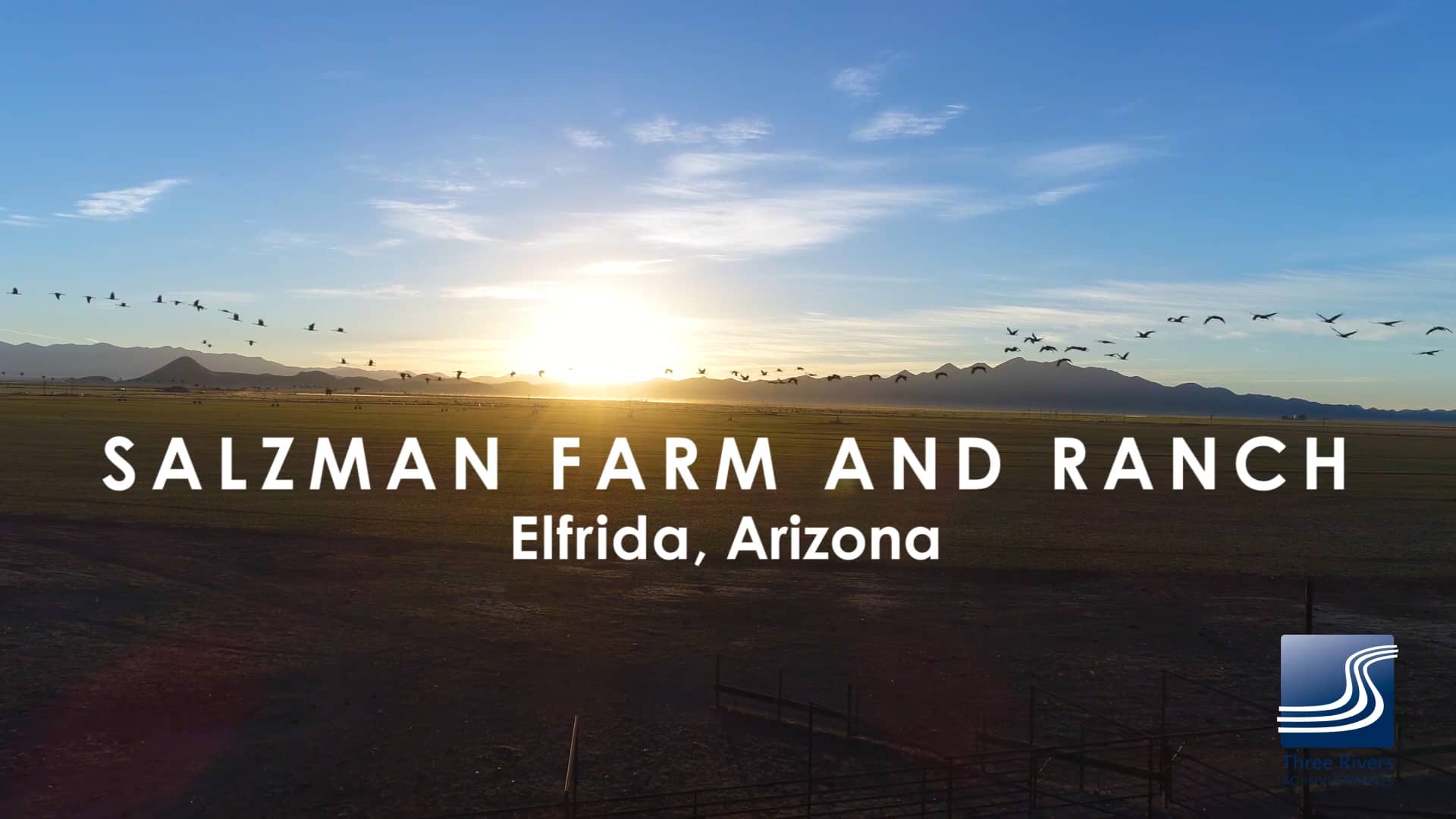Salzman Farm and Ranch - Elfrida, Arizona (60s) on Vimeo
