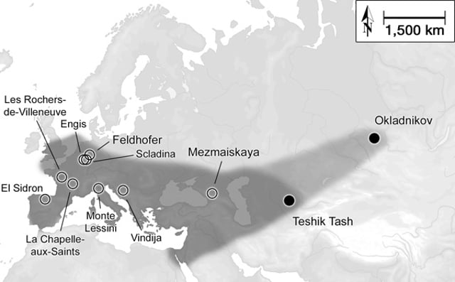 New insights on Neanderthal distribution and extinction — Science ...