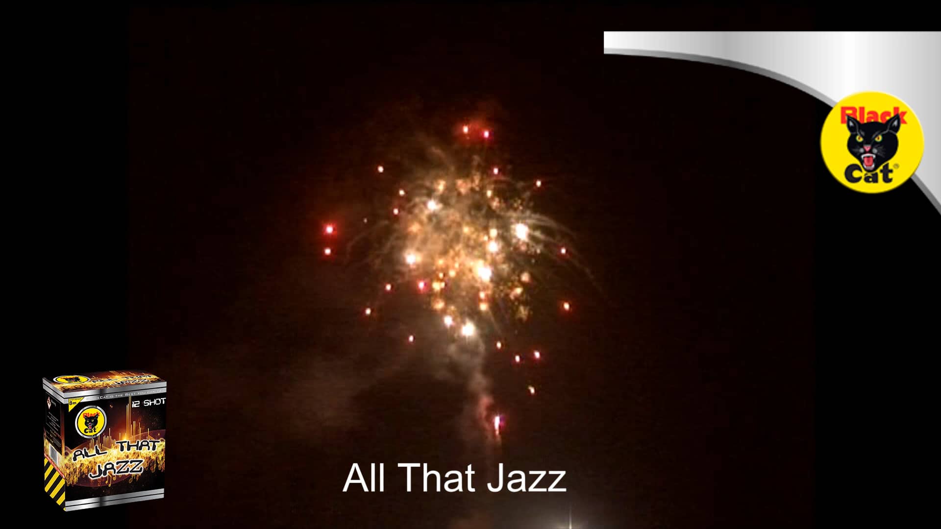 All That Jazz Single Ignition Cake by Black Cat Fireworks on Vimeo