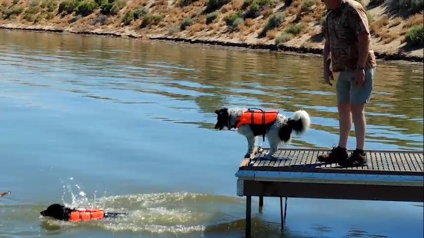 diving_lessons on Vimeo