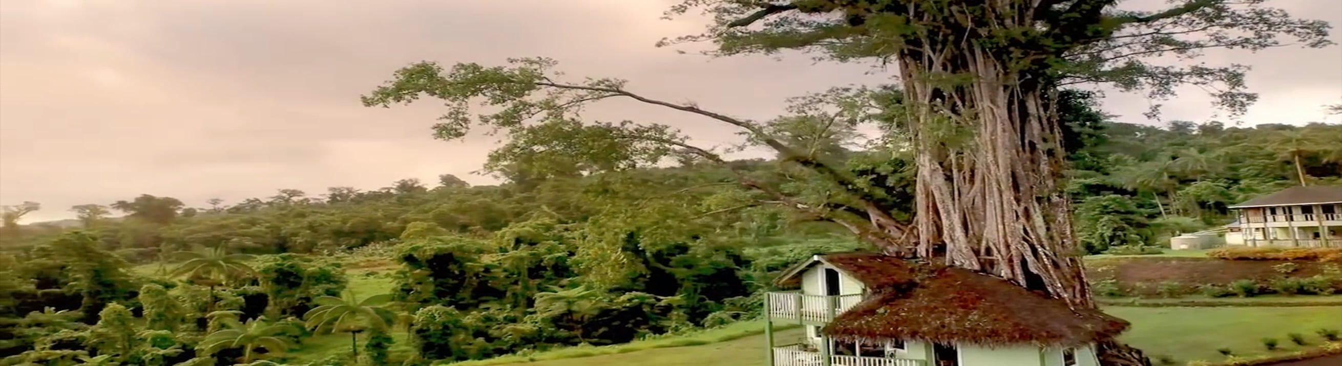 Samoa hero video on Vimeo