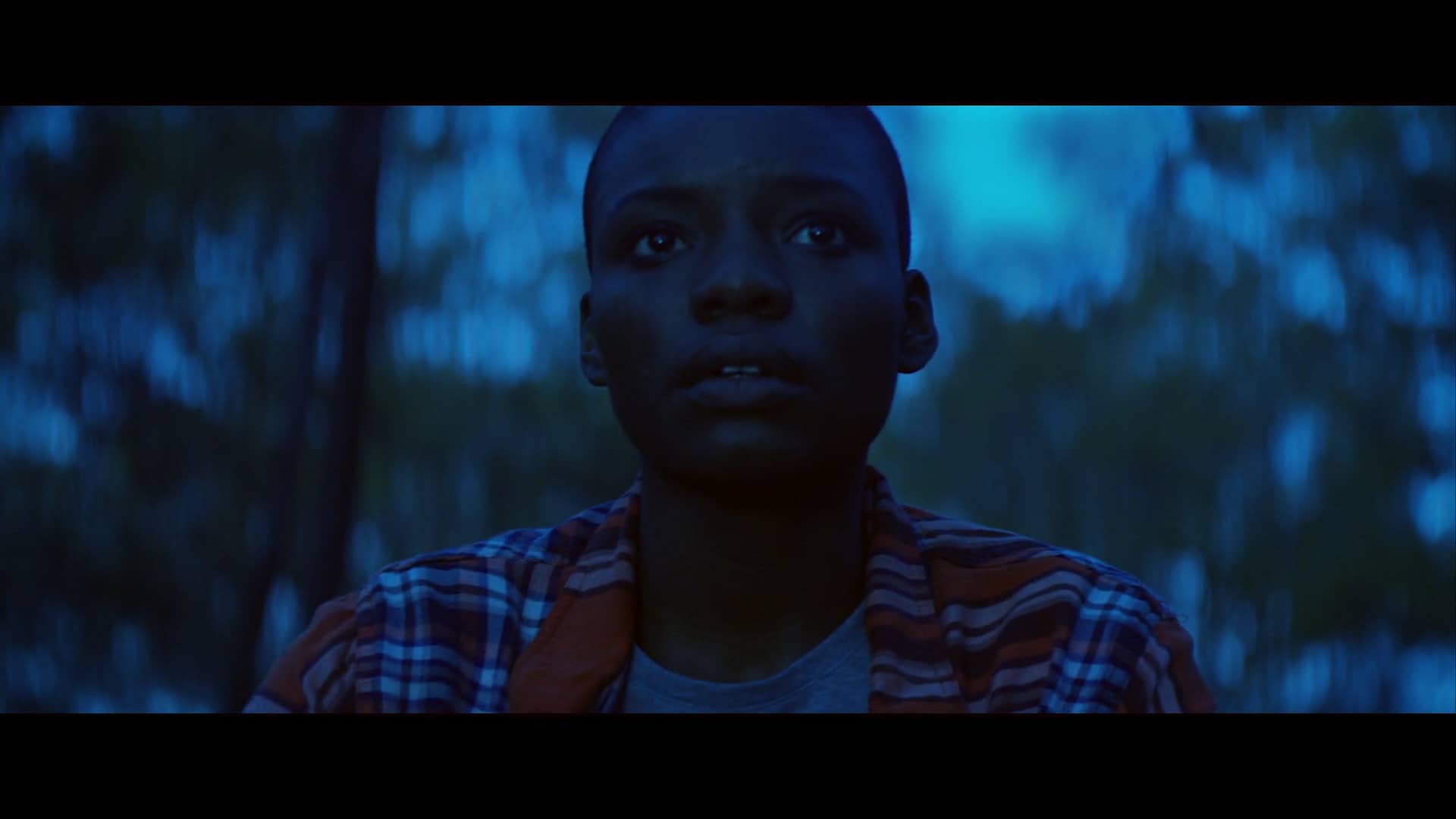 "Max & The Monster" Teaser Trailer on Vimeo