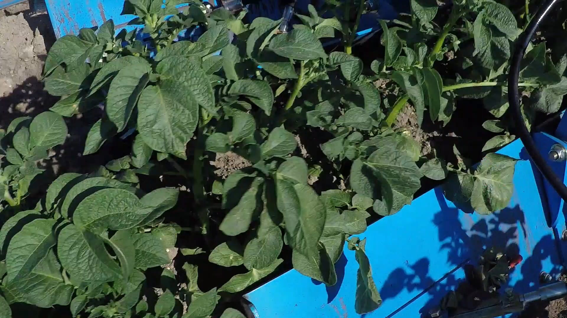 Target set video on Vimeo