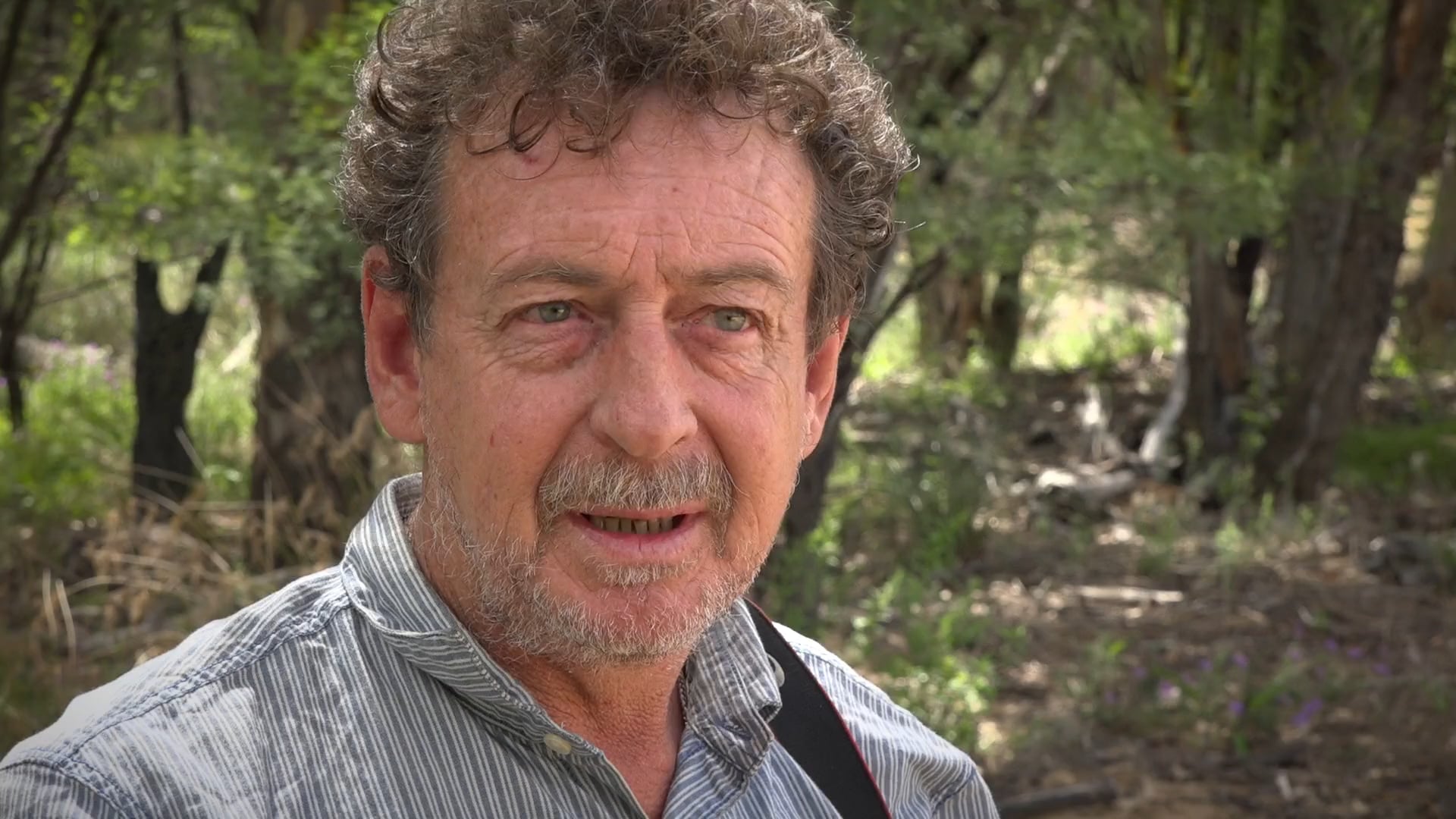 Sacrifice Zone - CATCHES 19 – David Paull on Vimeo