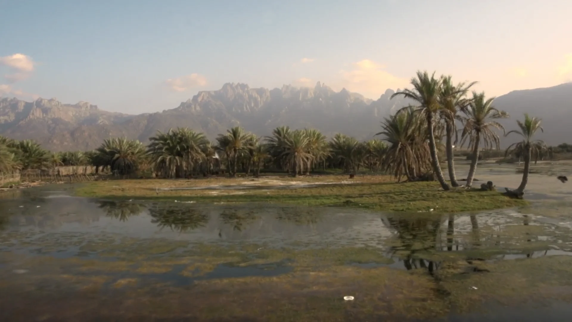 Socotra Island Landscapes - Documentary Scene "Socotra, The Hidden Land ...