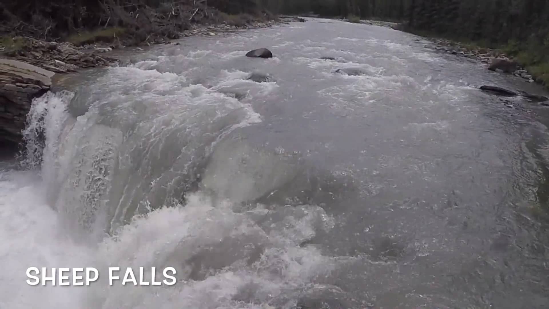 WPP Sheep Weekend on Vimeo