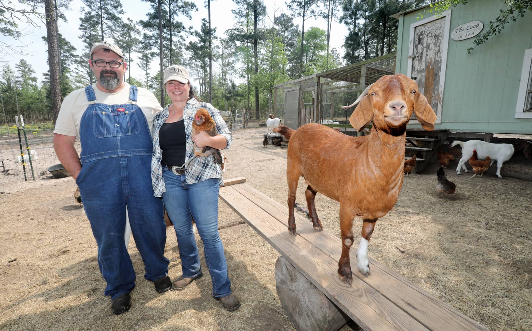 Meet the Farmer Series - Chubby Dog Hog Farm on Vimeo