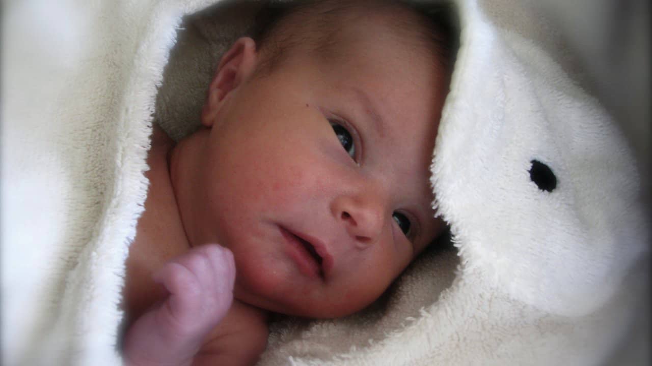 A Time to Be Born: Part 3 - Andrew Milner, Laura Buchta, Tiffany ...