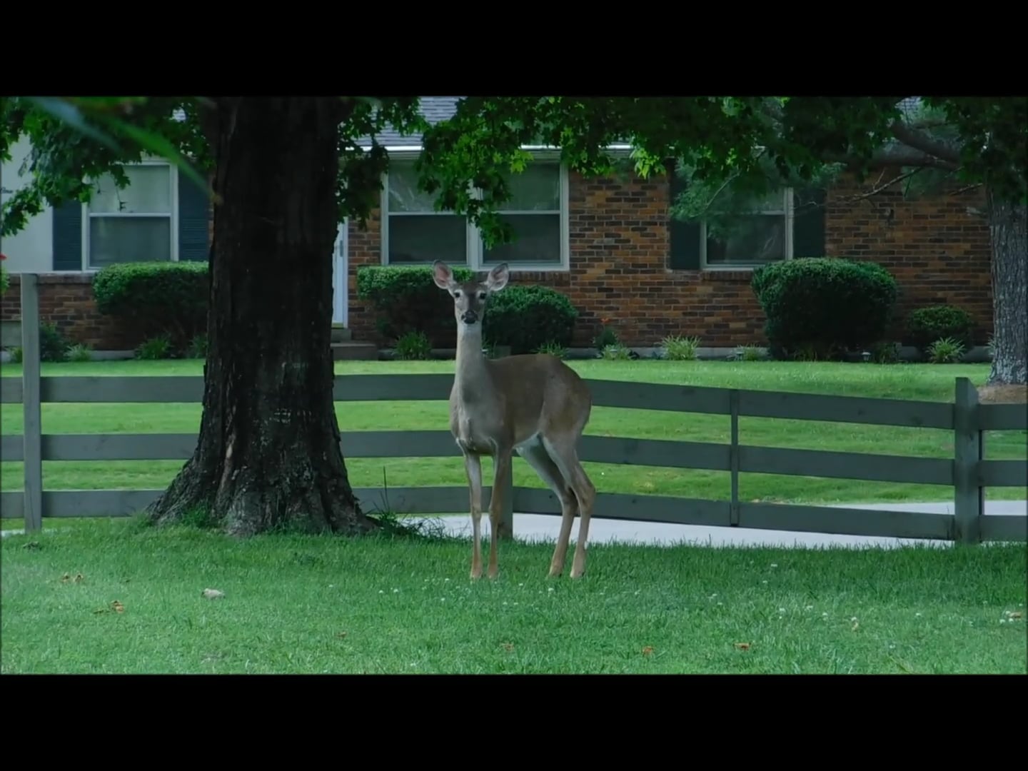 One Sumner Minute - Jane the Doe - Martin J. Laight on Vimeo