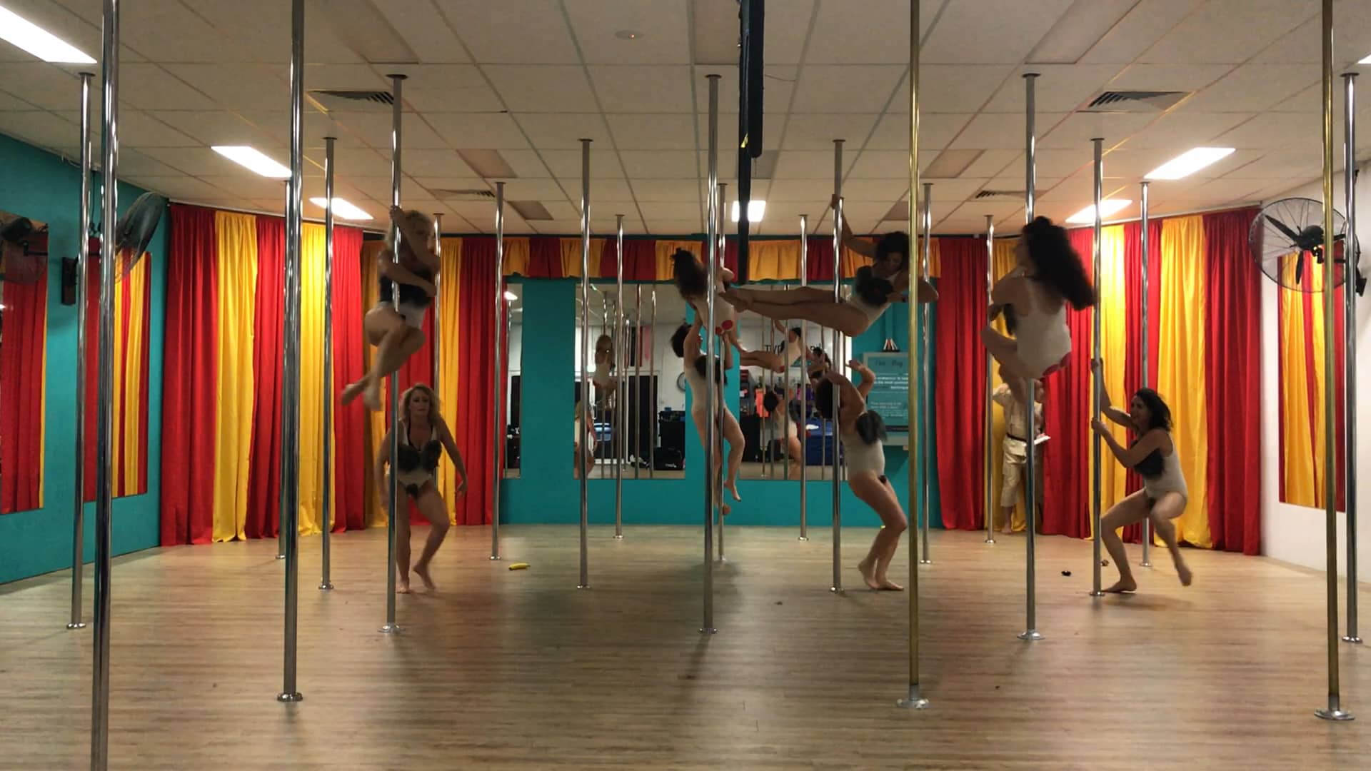 Old Moles On Poles Pole Theatre Comedy Entry Video for Pole Theatre ...